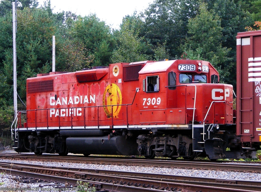 CP 7309